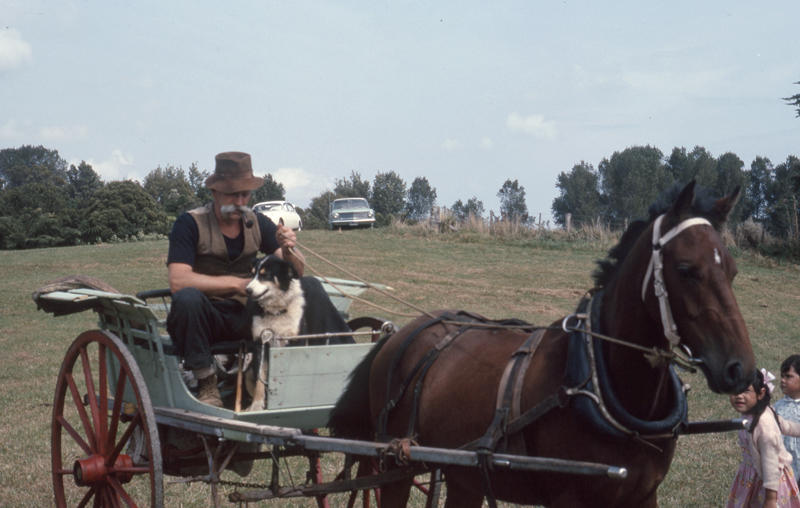 Okato jubilee, horse and gig, Okato - Puke Ariki