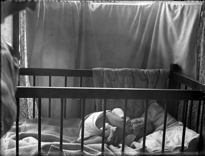 Peter Allen - Puke Ariki